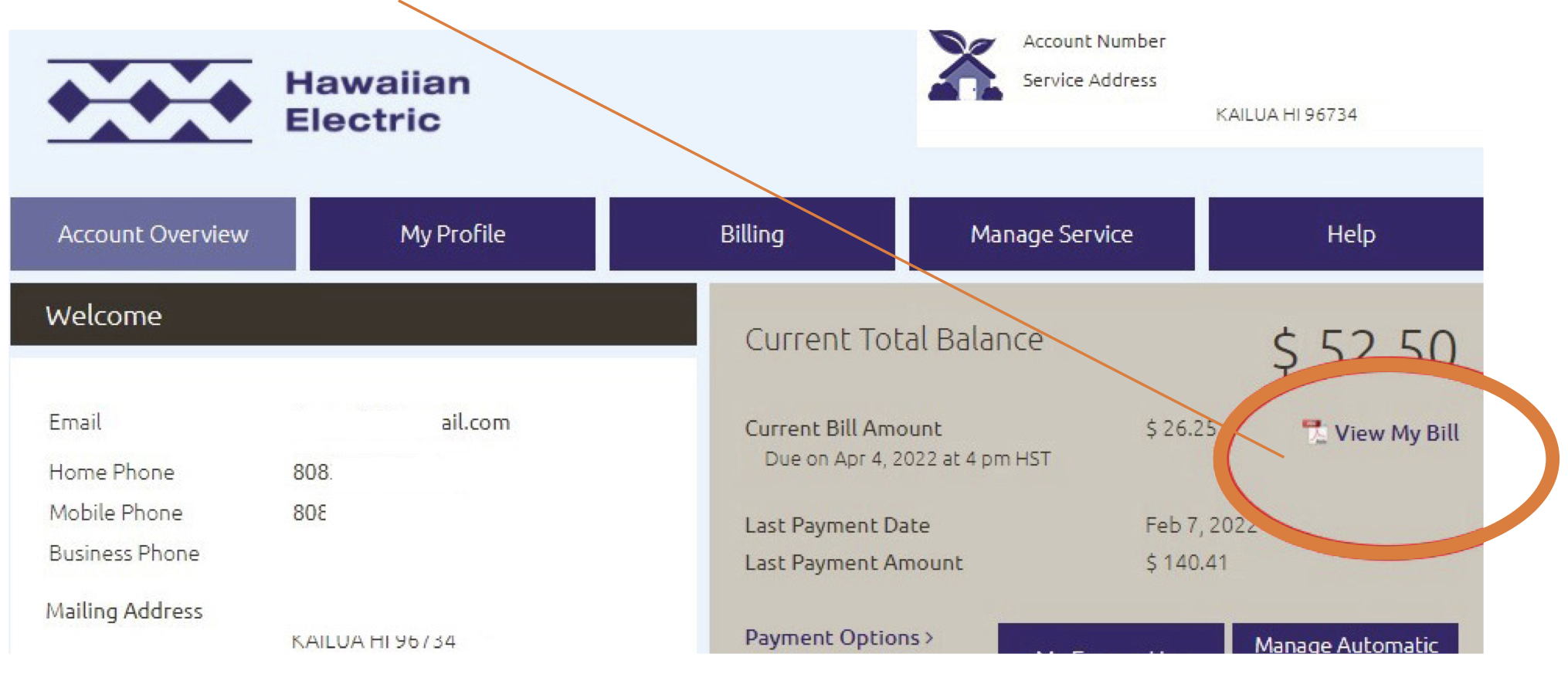 How Do I Download My HECO Bill? – Revolusun